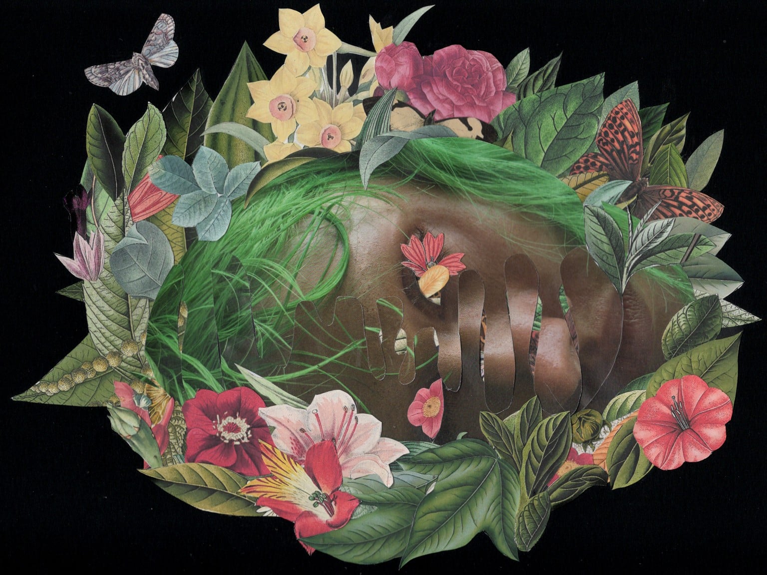 Collage artist Emily Morgan follows her intuition – Matter News